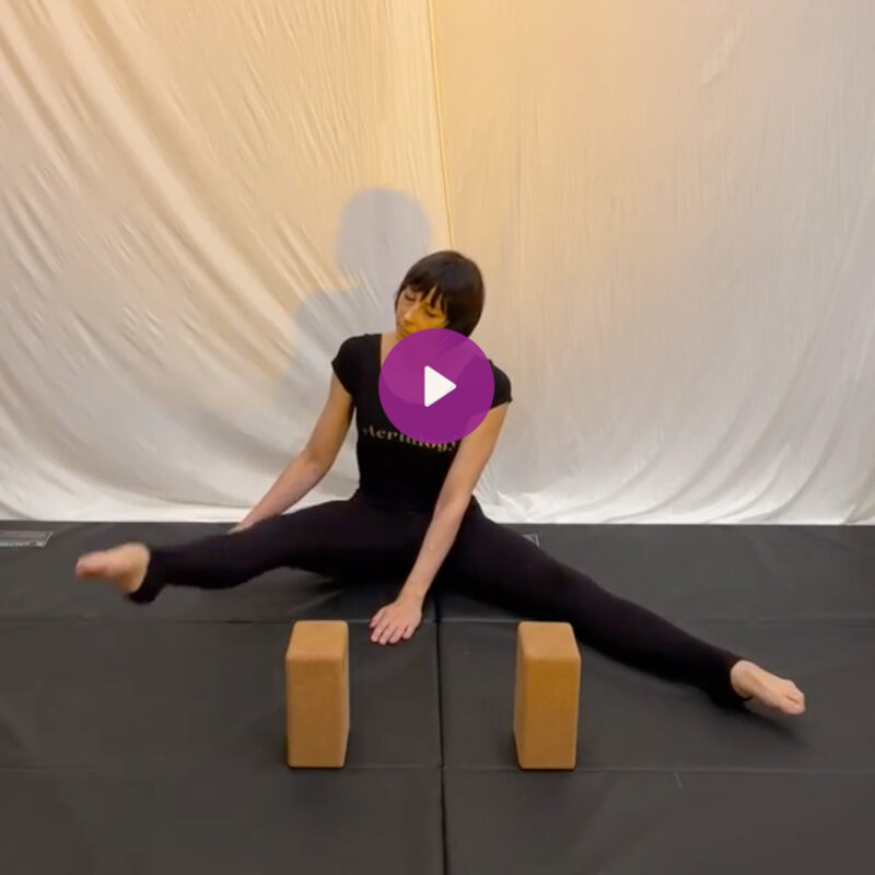 Seated Double Leg Lifts – Aerialogy Academy